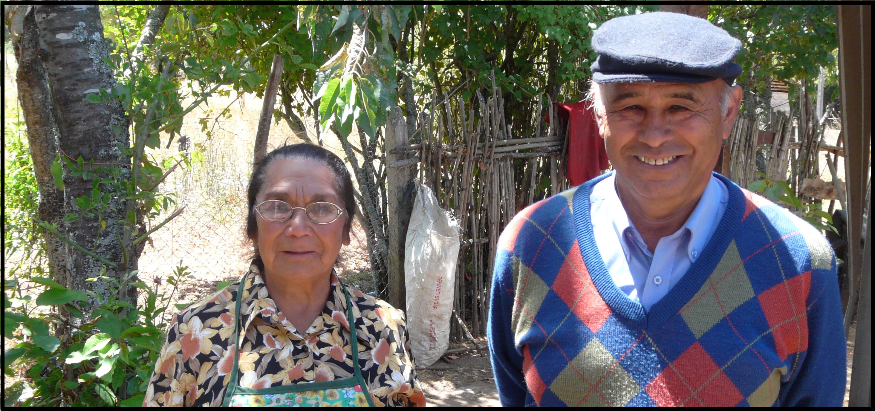 Mapudungun phonology and morphology | Benjamin Molineaux (Edinburgh)