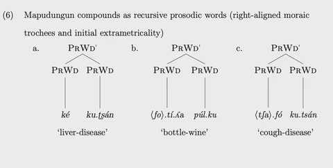 The diachronic interaction of prosodic structure and morphology ...